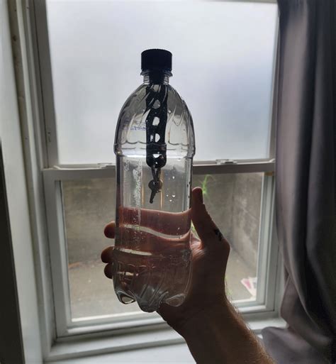 The Sentence Is Only Limited By The Size Of Water Bottle You Can Find R BdsmDIY