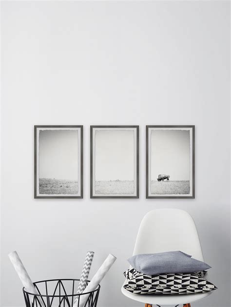 Foundry Select A Lone Bison Triptych Wayfair