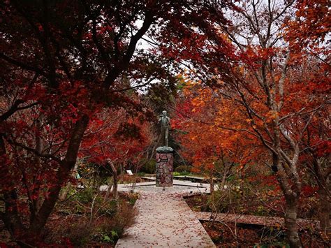 五台山・竹林寺・牧野植物園 Yutaさんの五台山・鉢伏山・大平山の活動データ Yamap ヤマップ