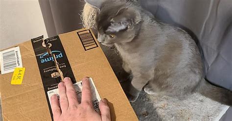 Imgur Secret Santa You Are Awesome Album On Imgur