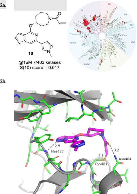 Discovery And Preclinical Characterization Of BIIB129 A Covalent