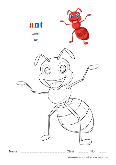แบบฝึกหัดภาษาอังกฤษ การออกแบบหนังสือ คำศัพท์ ภาพวาด