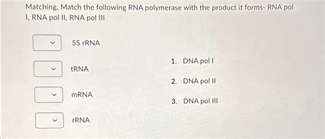 Solved Matching Match The Following Rna Polymerase With The