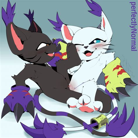 Rule 34 2022 Absurd Res Against Surface Against Wall Bandai Namco Blackgatomon Blush Body