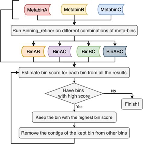The Ensemble Strategy Workflow The Second Stage Binab Denotes The