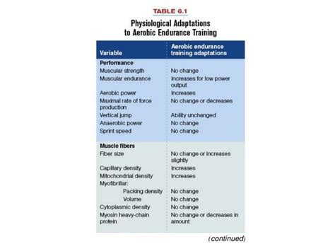 Ppt Adaptations To Aerobic Endurance Training Programs Powerpoint