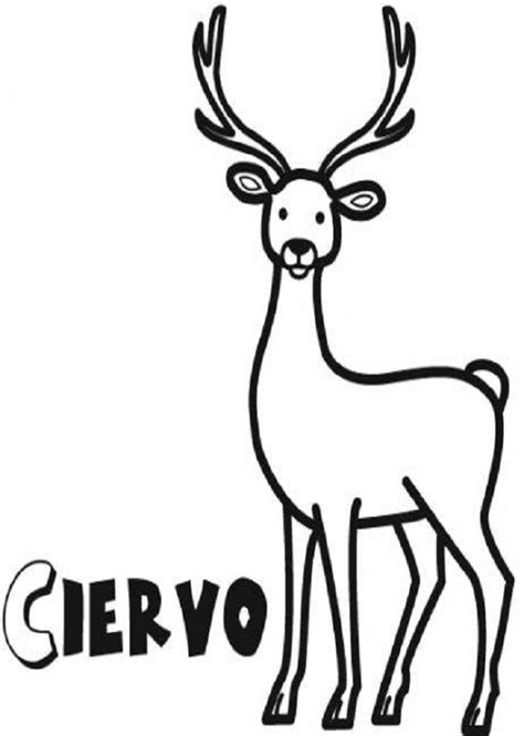 Ciervo Para Colorear Dibujosparacolorear Eu