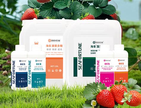 草莓栽培及管理技术 技术要点与实践指南 颂田生物