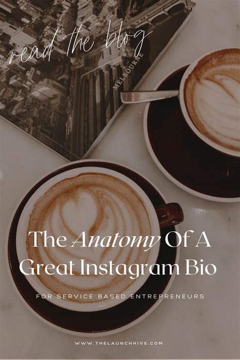 How To Optimize Your Instagram Bio Artofit