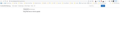 C Imagefileform Not Binded With Input Stack Overflow