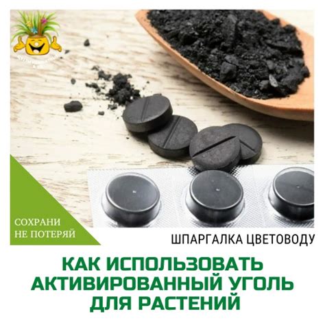 Как использовать активированный уголь для растений Улучшение качества ...