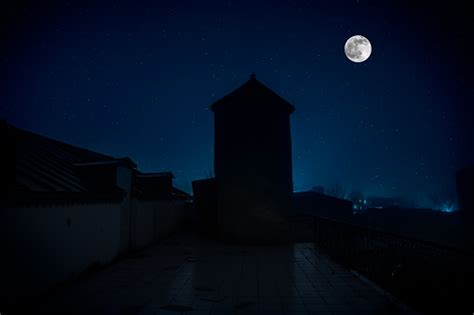 밤에 숲에 유령과 오래된 집 또는 안개에 버려진 유령의 공포 집 죽은 나무 숲의 오래된 신비한 건물 밤에는 달과 함께 나무