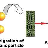 Schematic Diagram For Conventional Synthesis Of Metallic Nanoparticles Download Scientific Diagram