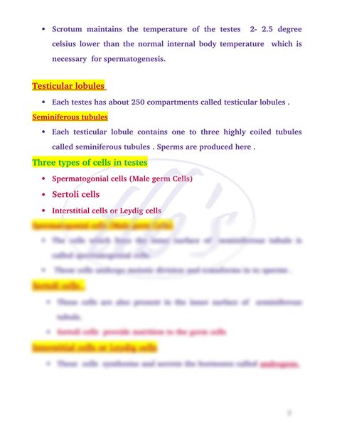 Solution Male Reproductive System Notes Studypool
