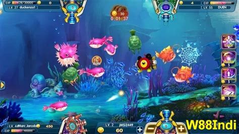Top 4 fishing master tips for beginners - Win ₹ 300 free bet