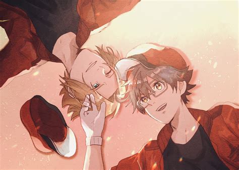 Hataraku Saibou Black Danbooru