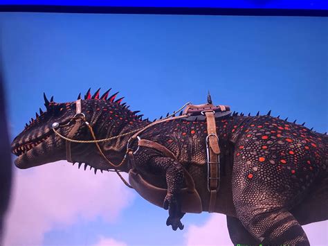 What Do I Name Her R Ark