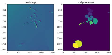 Segment A549 Cells Using A Trained Cellpose Livecellx 0 0 0 Documentation