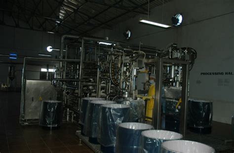 Alphonso Mango Pulp Aseptic Packing At Best Price In Madurai Consultant