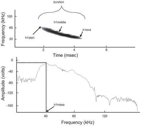 Sex And Season Differences In The Echolocation Pulses Of Big Brown Bats