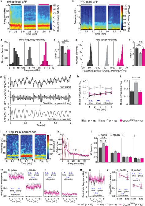 Hippocampal Glua1 Dependence Of Local And Long Range Oscillatory
