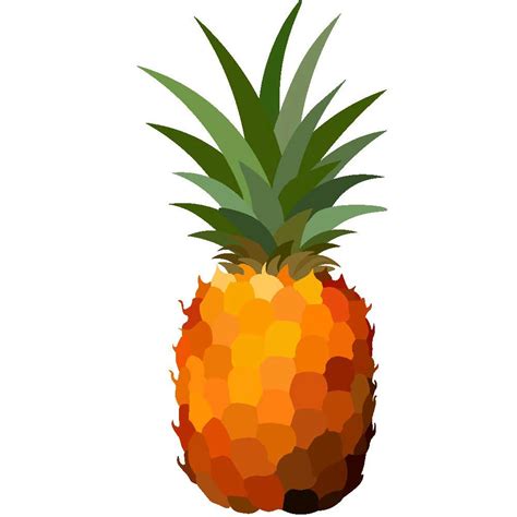 Adobe Illustrator 1 Pen Tool Behance