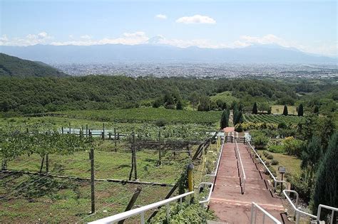 【酒好きほぼ100人に聞くアンケート酒飲みのミカタ】ワイナリー＆ワインフェスに行こう！ 酒文化研究所のプレスリリース 共同通信prワイヤー