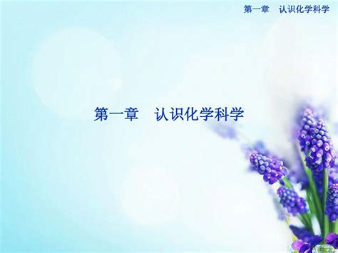 2013年高中化学 第一章 第一节走进化学科学精品课件 鲁科版必修1word文档在线阅读与下载无忧文档