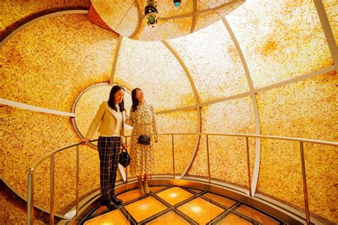 映画『ジュラシック・パーク』を彷彿させる、まさに恐竜時代の「琥珀」を展示 休暇村中宮古では、国内唯一の琥珀専門博物館「久慈琥珀博物館」入館券