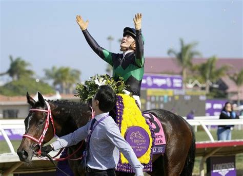 ラヴズオンリーユーが優勝 鳥栖市出身の川田が騎乗 米競馬のブリーダーズカップ｜スポーツ行政・社会｜佐賀新聞ニュース｜佐賀新聞live