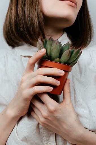 그녀의 손에 녹색 즙이 많은 식물을 들고 여자의 얼굴없는 초상화 여자에 대한 스톡 사진 및 기타 이미지 여자 한 명의 여자만 꽃 식물 Istock