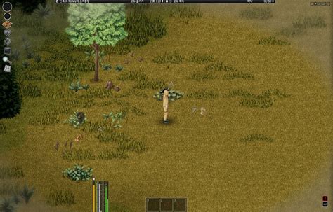 Foraging Ui Bug Bug Reports The Indie Stone Forums