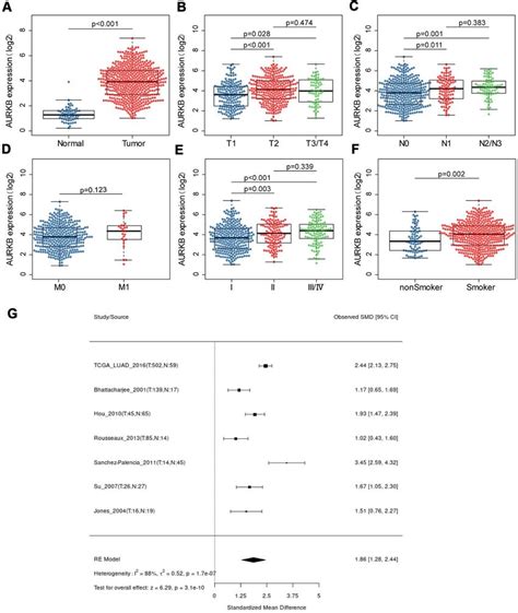 The Expression Of Aurkb In Luad Patients And Its Association With