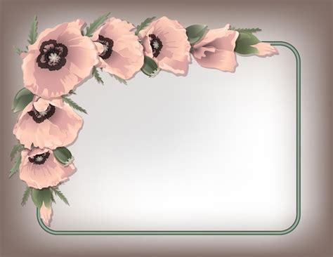 Premium Vector Pink Poppies Floral Horizontal Frame Vector Illustration