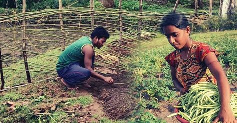 දිවයින පුරා තරුණ කෘෂි ගම්මාන බිහි කෙරේ