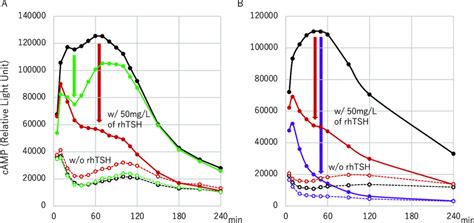 Time Course Of 3′5′ Cyclic Adenosine 5′ Monophosphates Camp
