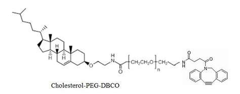 Cholesterol Peg1k Dbco，cls Peg Dbco，mw：1000 胆固醇 Peg1k基环辛炔 Udp糖丨mof丨金属有机