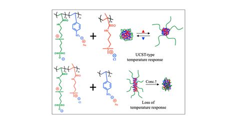 Complex Formation In The Sulfobetaine Containing Entirely Ionic Block Copolymerionic
