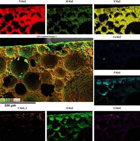 Eds Elemental Mapping Images Taken From The Surface Of The Sample Download Scientific Diagram