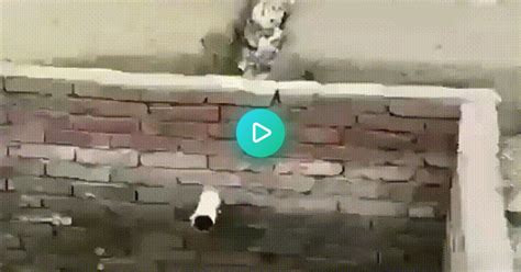 Unstoppable  On Imgur