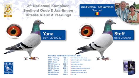 Van Hertem Schuurmans Neerpelt Beyers Belgium