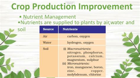 Ppt Class 9th Science Improvement In Crop Yield Powerpoint