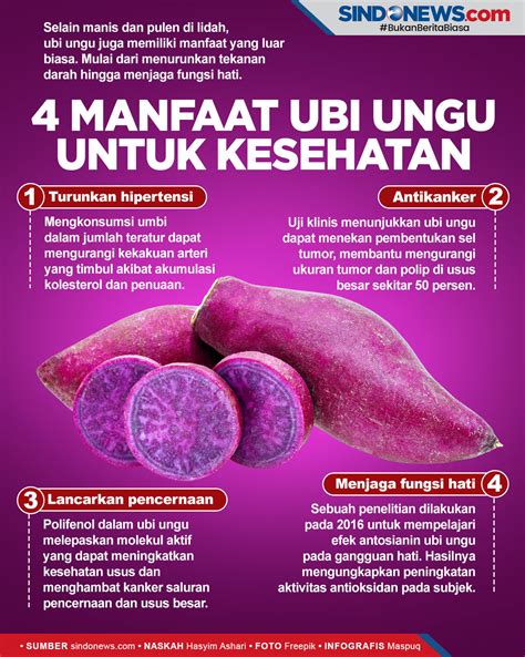 Selain Manis Ini Empat Manfaat Ubi Ungu Untuk Kesehatan Tubuh News On RCTI