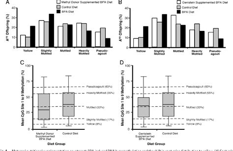 Hypomethylation Semantic Scholar