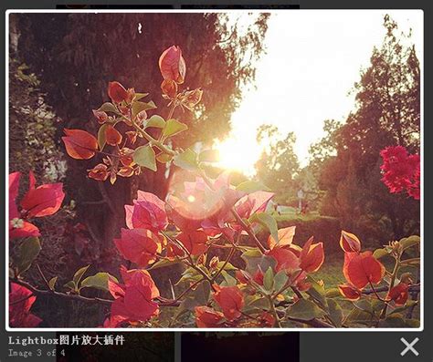 Lightbox图片放大插件，jquery弹出层放大插件图像特效我爱模板网 提供下载各种免费建站资源，免费网站模板，免费网页特效，让你爱上建站！