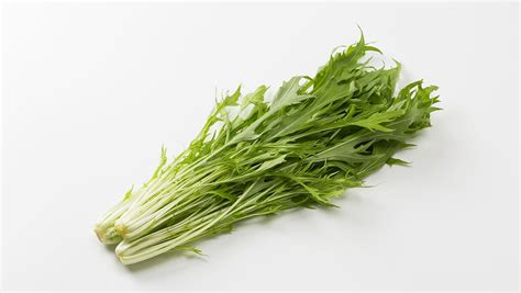 水菜と豚肉のサラダレシピ！プロが教える、簡単おもてなしサラダ ｜ ガジェット通信 Getnews