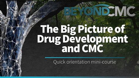 Introduction To Drug Development And Cmc Beyond Cmc