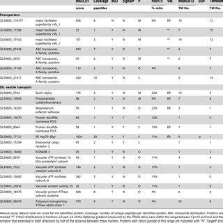 Putative Mitosomal Proteins Classified By Predicted Function