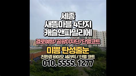 세종 탄성코트 새뜸마을4단지 캐슬앤파밀리에 곰팡이 베란다 보수 및 규조토 시공 Youtube