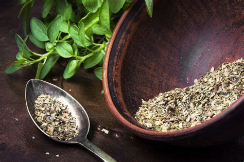7 benefícios do orégano Acrescente esse tempero em sua vida